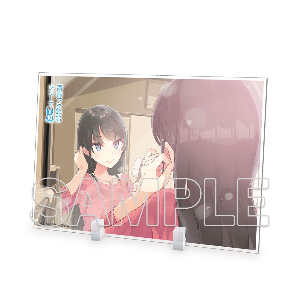 Dengeki Bunko Rascal Does Not Dream Series 10th Anniversary Big Acrylic ...