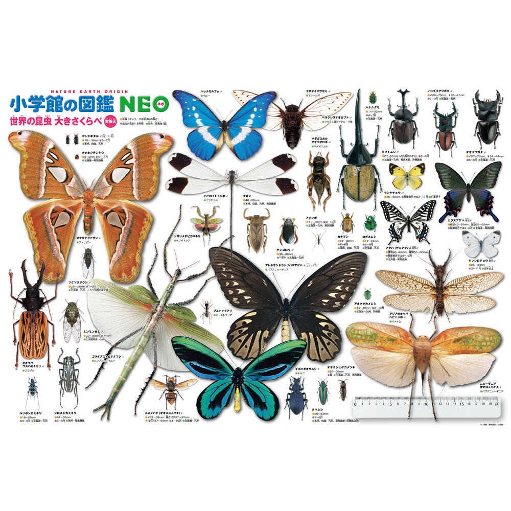 Insects Size Comparison Jigsaw Puzzle - Tokyo Otaku Mode (TOM)