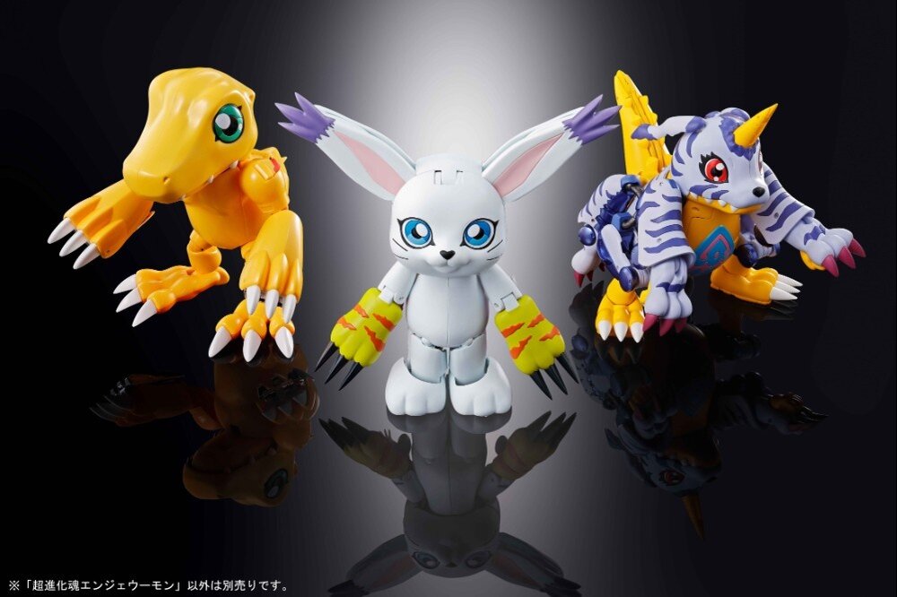 Digivolving Spirits [Digimon] Angewomon: Bandai - Tokyo Otaku Mode (TOM)