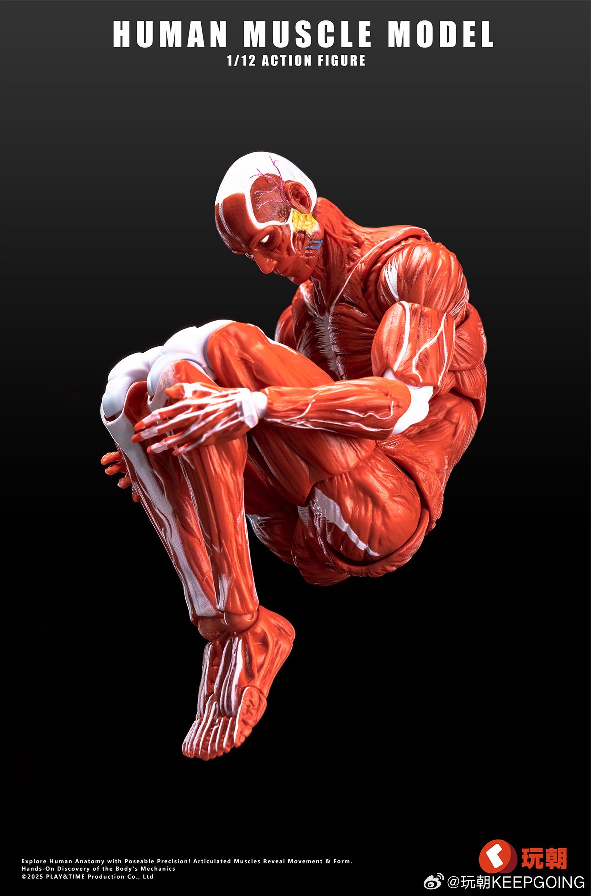 Human Muscle Model (Red) 1/12 Scale Action Figure: Keepgoing Studio ...