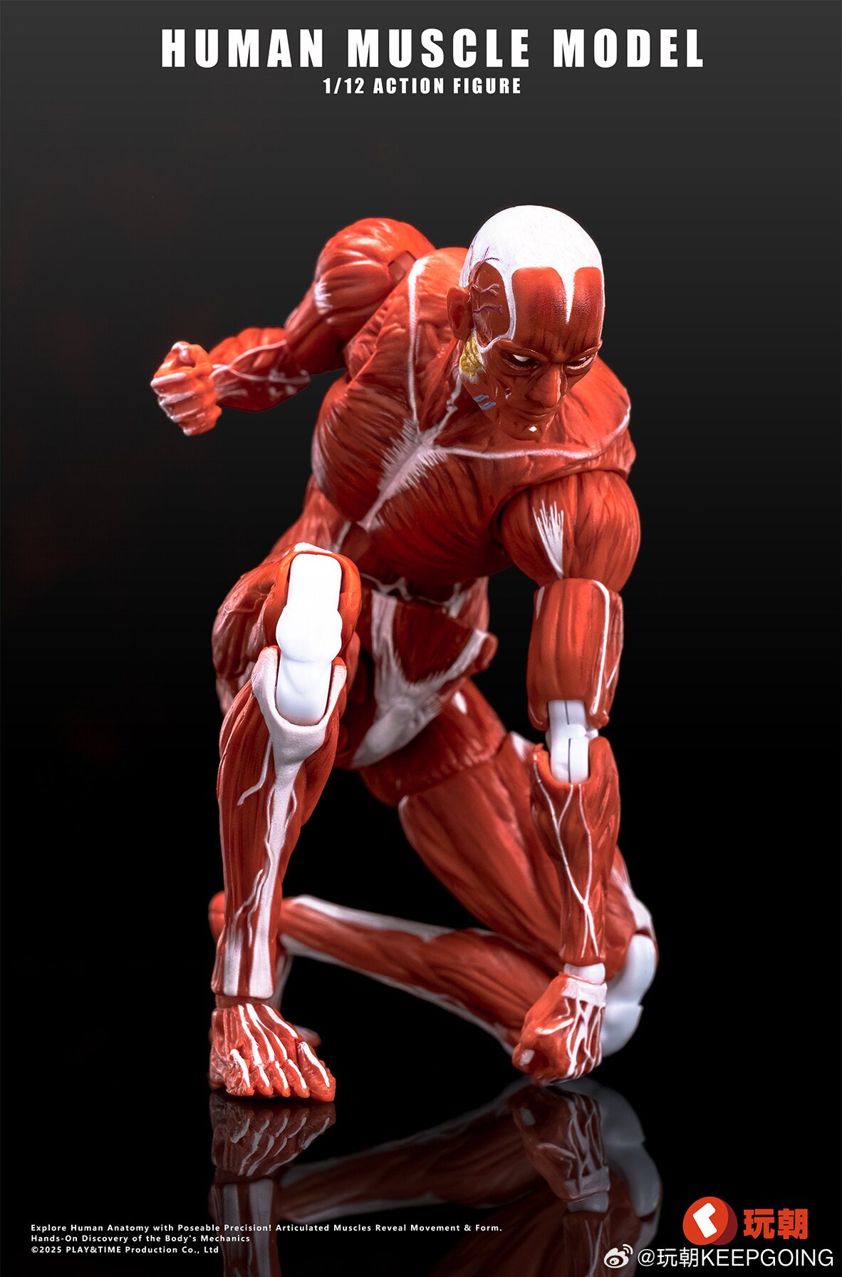 Human Muscle Model (Red) 1/12 Scale Action Figure: Keepgoing Studio ...