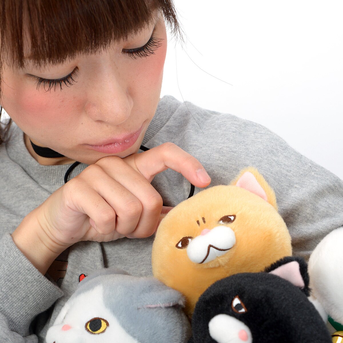 Bucha Neko-san Cat Plush Collection (Standard) - Tokyo Otaku Mode (TOM)