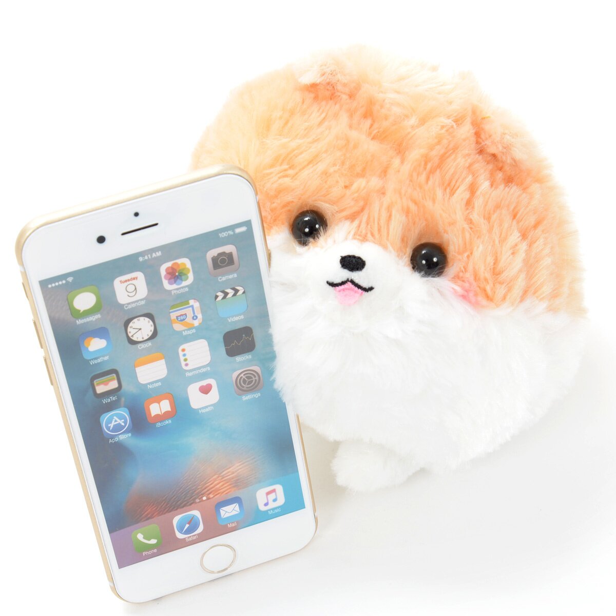 Fuwa-mofu Pometan Dog Plush Collection (Standard): Amuse - Tokyo Otaku Mode (TOM)