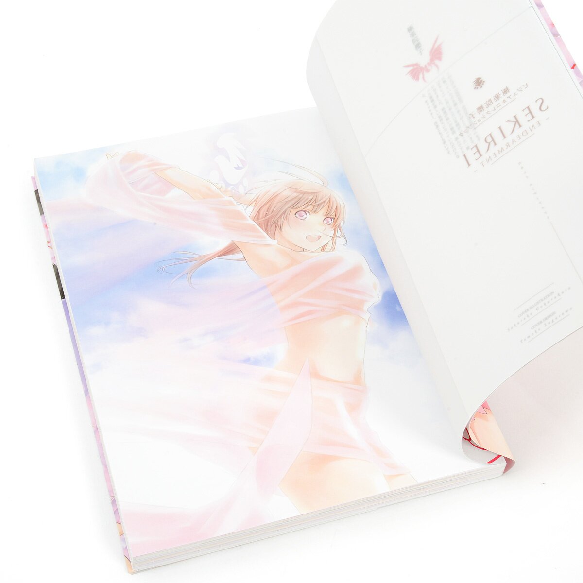 Sakurako Gokurakuin Visual Collection Book: Sekirei -Endearment- - Tokyo Otaku Mode (TOM)