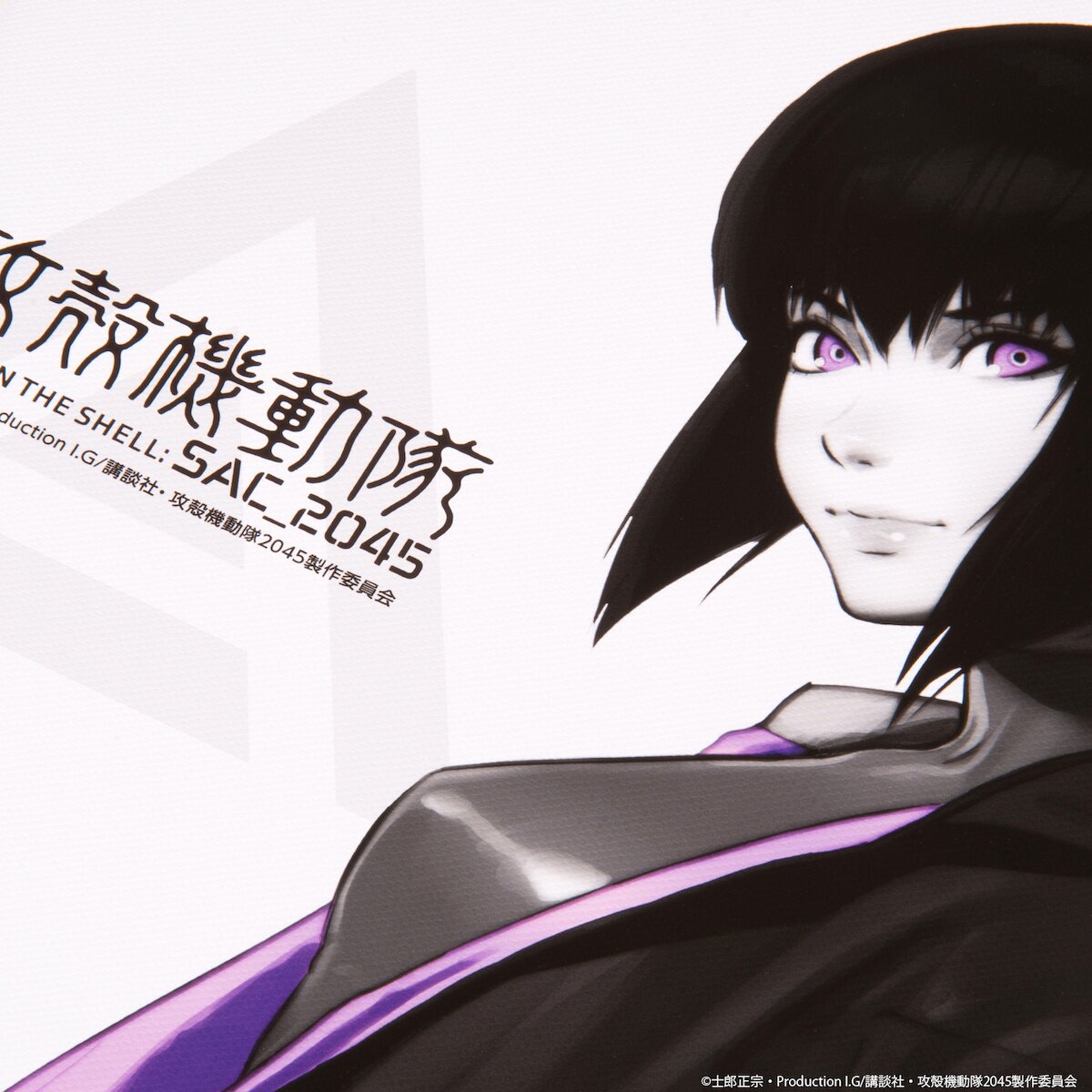 Ghost in the Shell: SAC_2045 Art Panel - Tokyo Otaku Mode (TOM)
