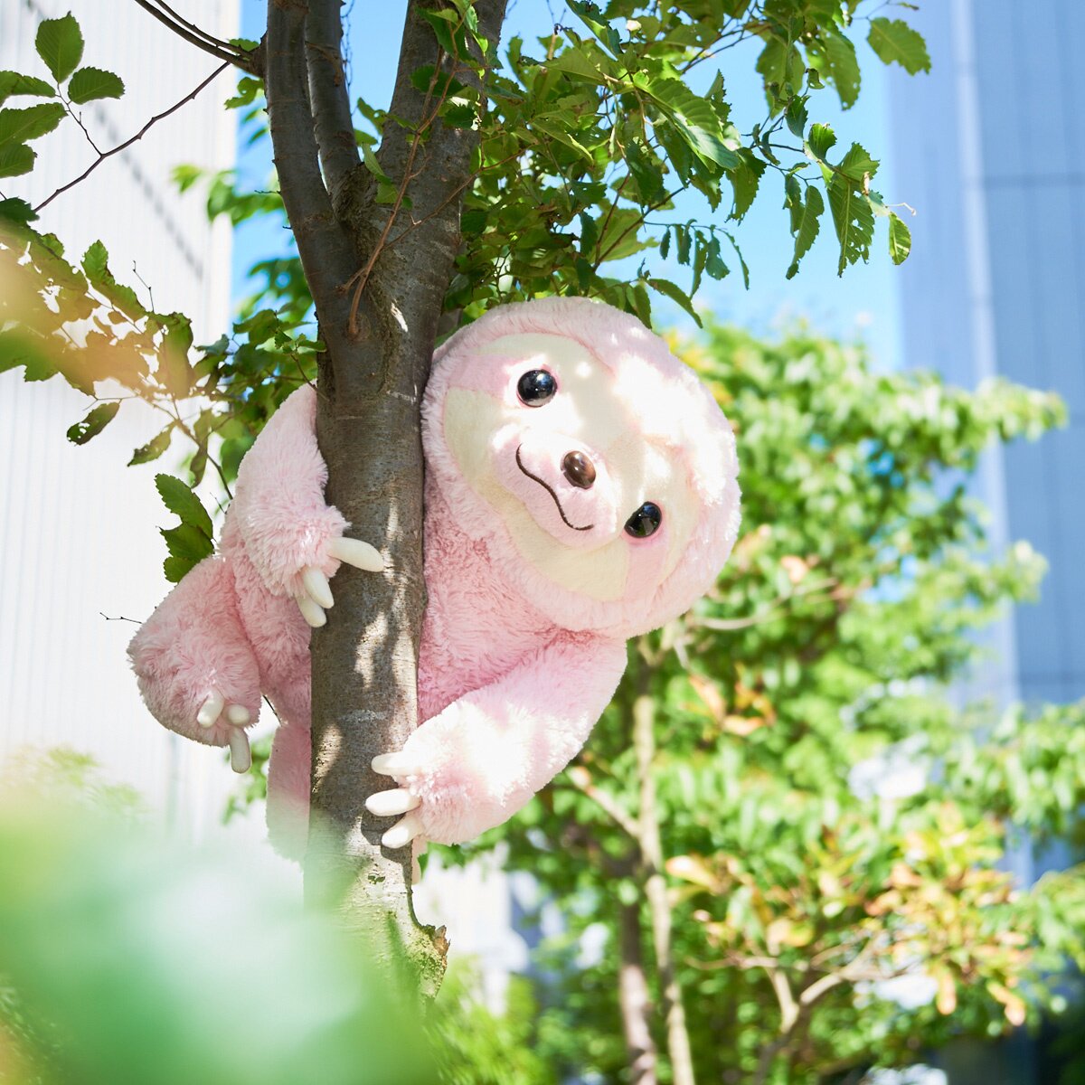 Namakemono no Mikke Mattari Hi Sloth Plush Collection (Big): Amuse ...