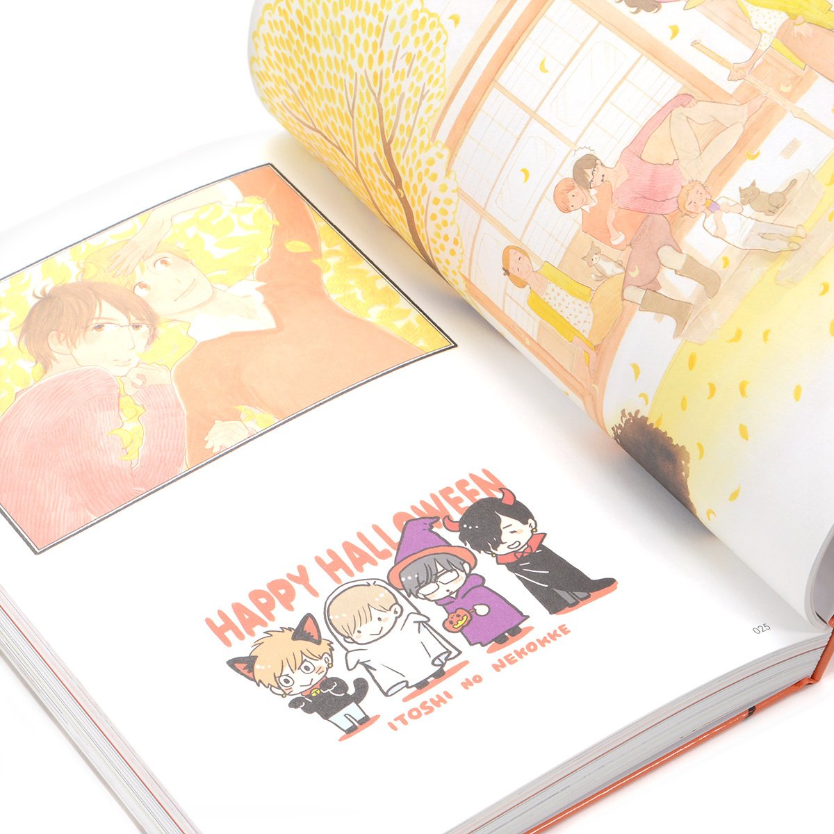 Boy's Life: Haruko Kumota BL Artworks - Tokyo Otaku Mode (TOM)