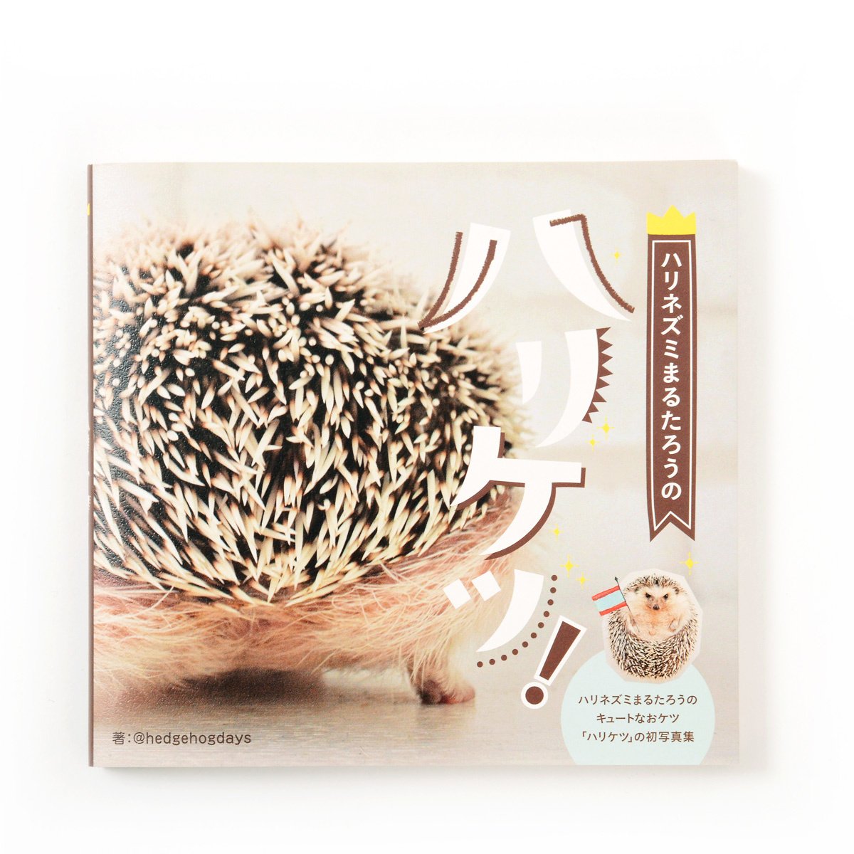 Marutaro the Hedgehog Butt Photo Book - Tokyo Otaku Mode (TOM)