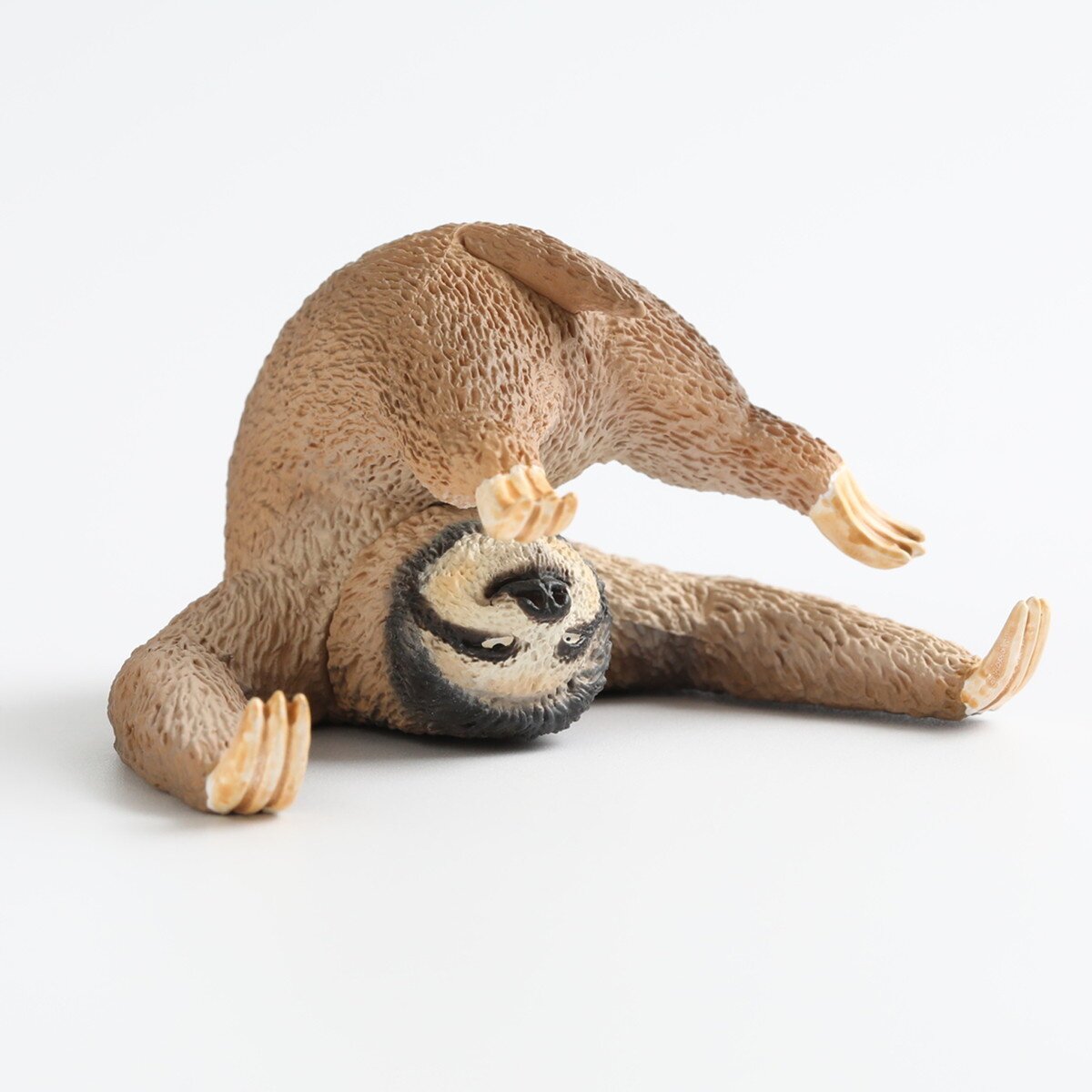 Animal Life Rolling Animals Box Set: Union Creative - Tokyo Otaku Mode ...