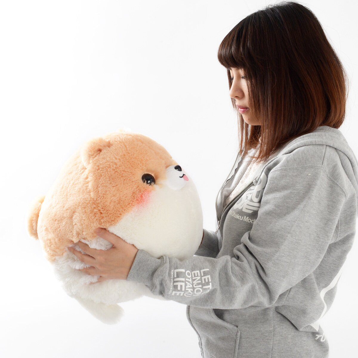 Fuwa-Mofu Pometan Dog Plush Collection (Big) - Tokyo Otaku Mode (TOM)