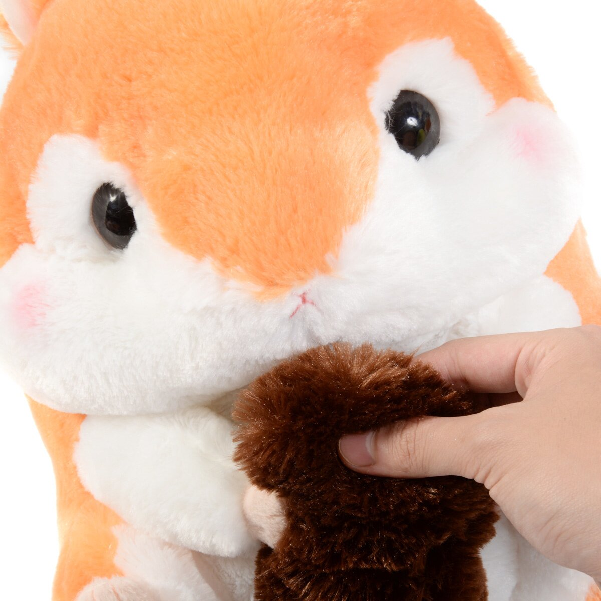 Coroham Coron to Risu-chan Hamster Plush Collection (Big): Amuse ...