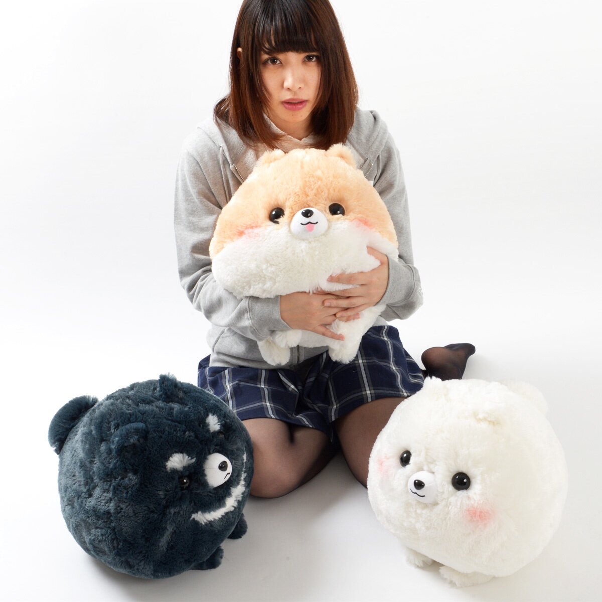 Fuwa-Mofu Pometan Dog Plush Collection (Big) - Tokyo Otaku Mode (TOM)