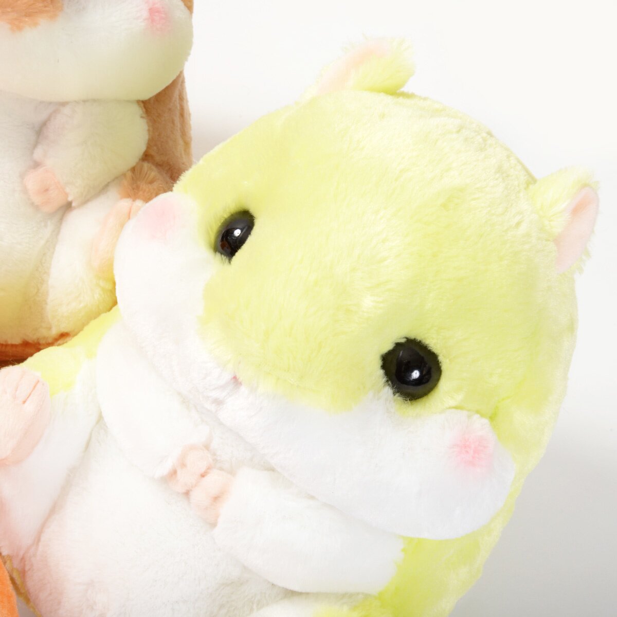 Coroham Coron to Risu-chan Hamster Plush Collection (Big): Amuse ...