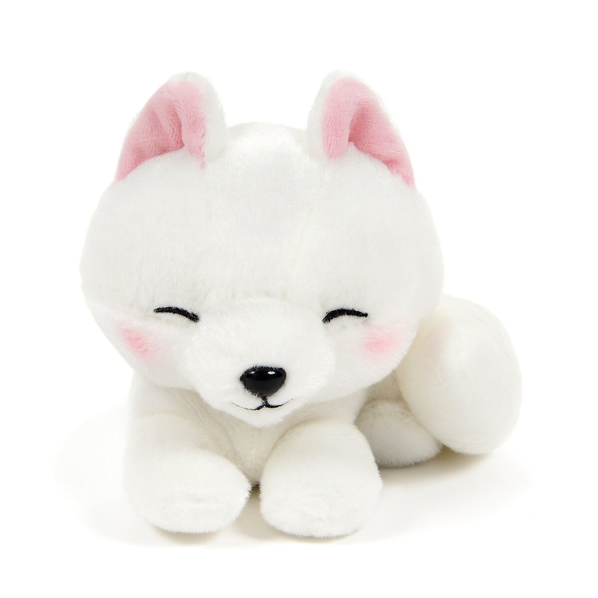 Kogitsune Konkon Curled Tail Fox Plush Collection (Standard): Amuse ...
