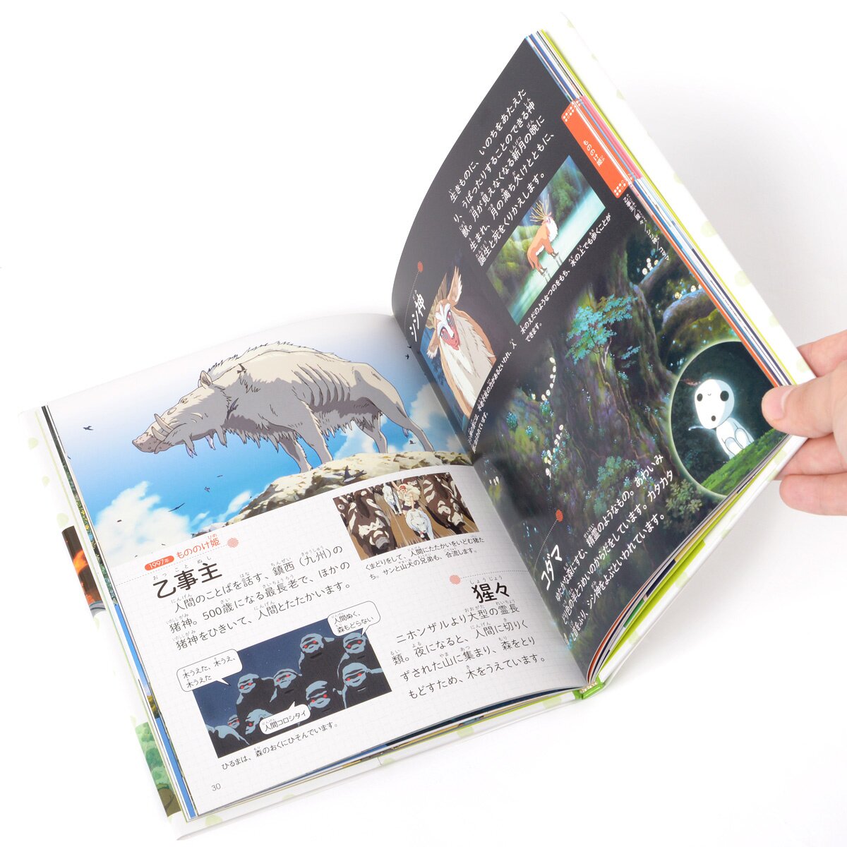 Tokuma Anime Picture Book Mini: Tons of Studio Ghibli Creatures - Tokyo ...