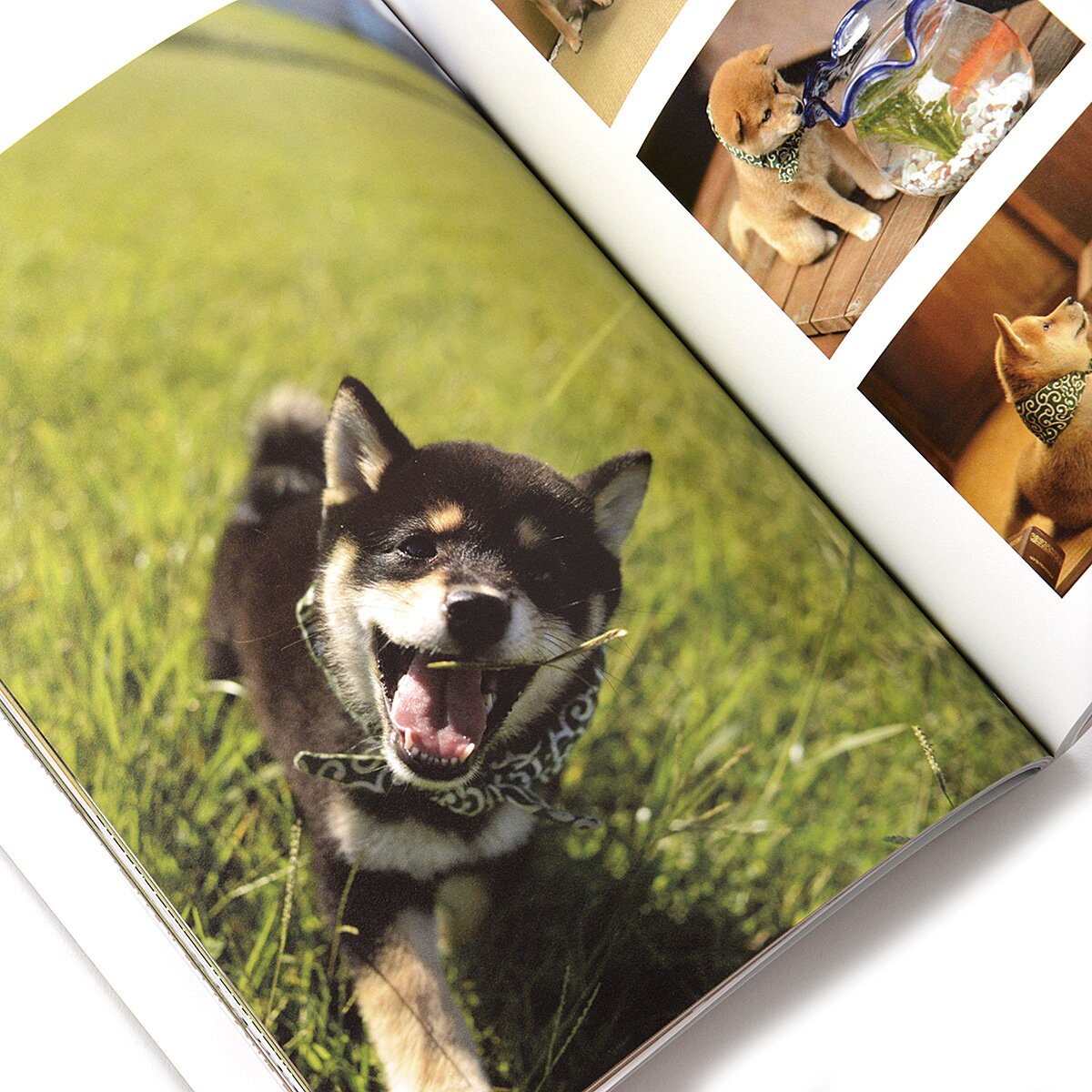 Wafu Sohonke Mamesuke tte Ii na Rekidai Best Photo Book Set - Tokyo ...