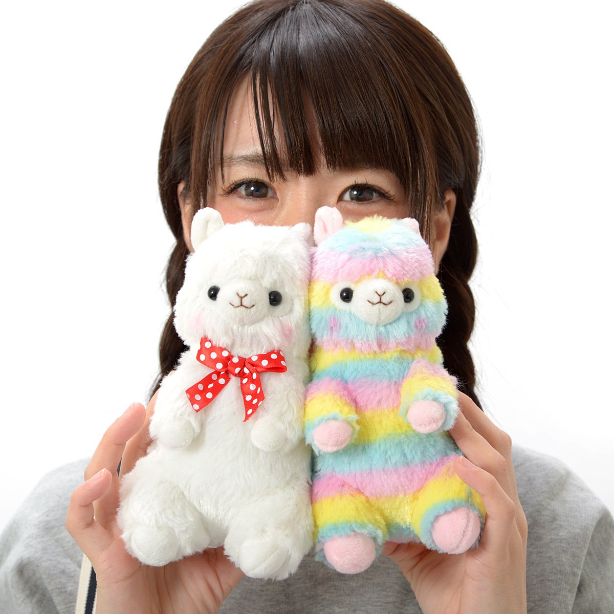 Alpacasso Sitting Plush Collection (Standard): Amuse - Tokyo Otaku Mode ...