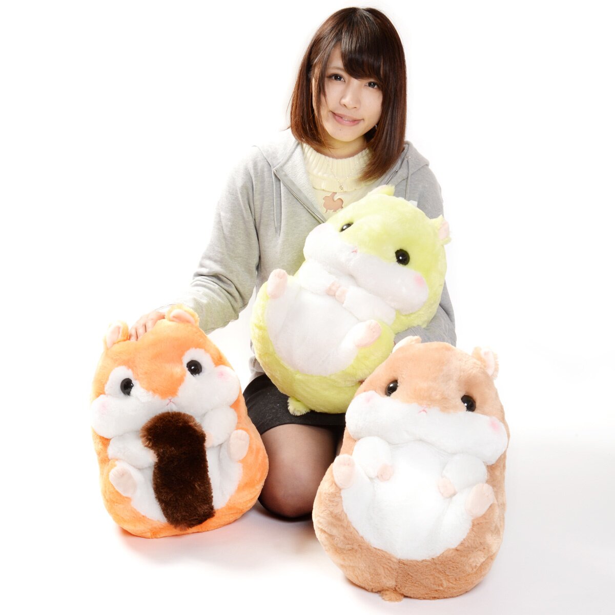 Coroham Coron to Risu-chan Hamster Plush Collection (Big): Amuse ...