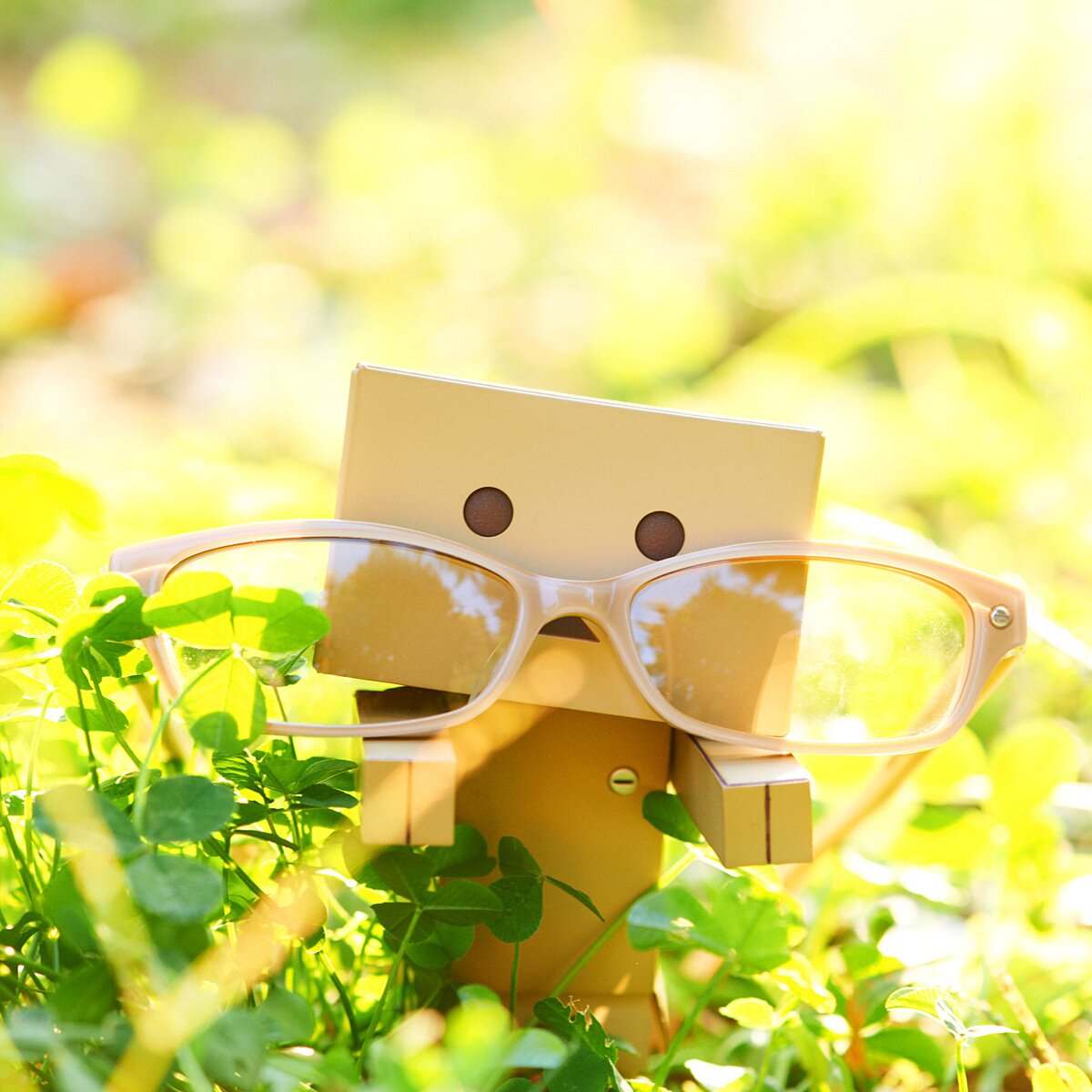 Danboard Computer Glasses - Tokyo Otaku Mode (TOM)