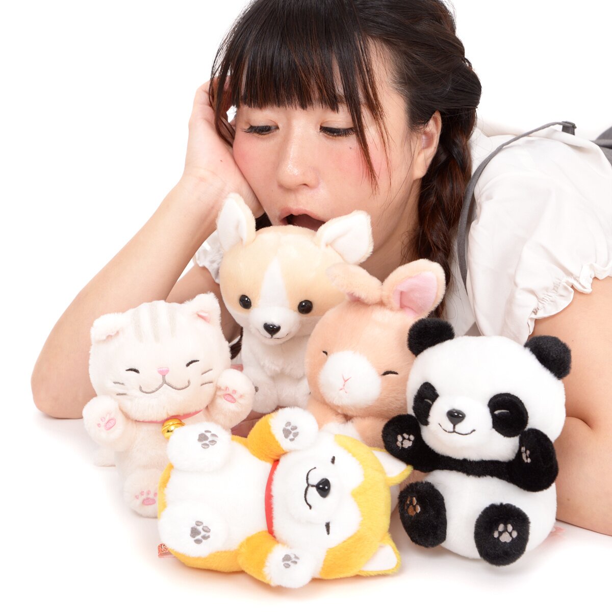 Dokodemo Nekkorogari Tai Animal Plush Collection (Standard): Amuse ...