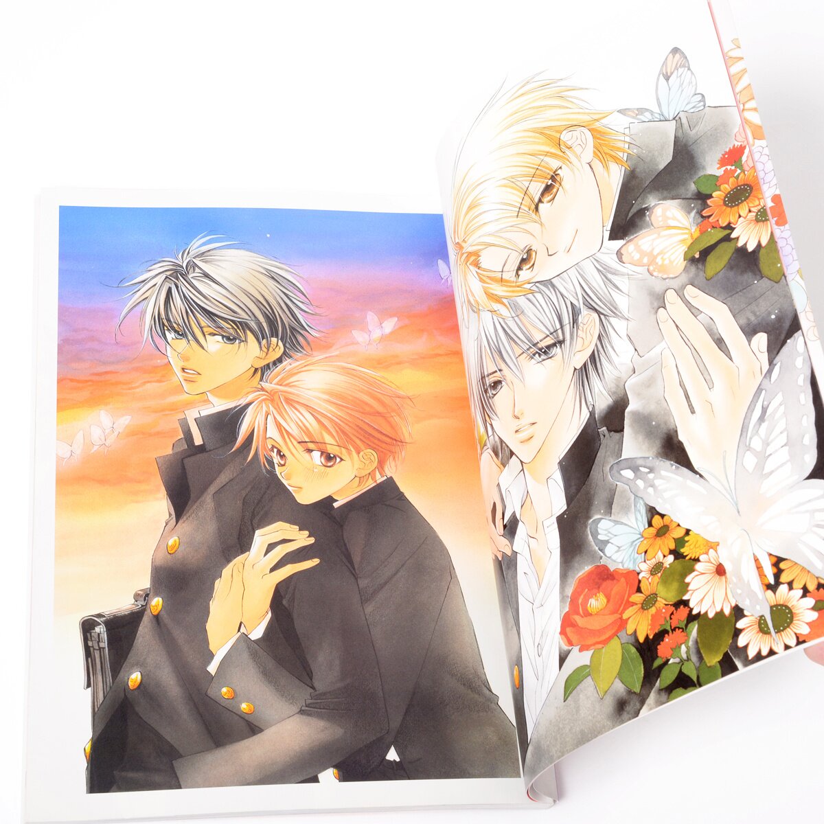 Little Butterfly - Hinako Takanaga Illustration Collection - Tokyo ...