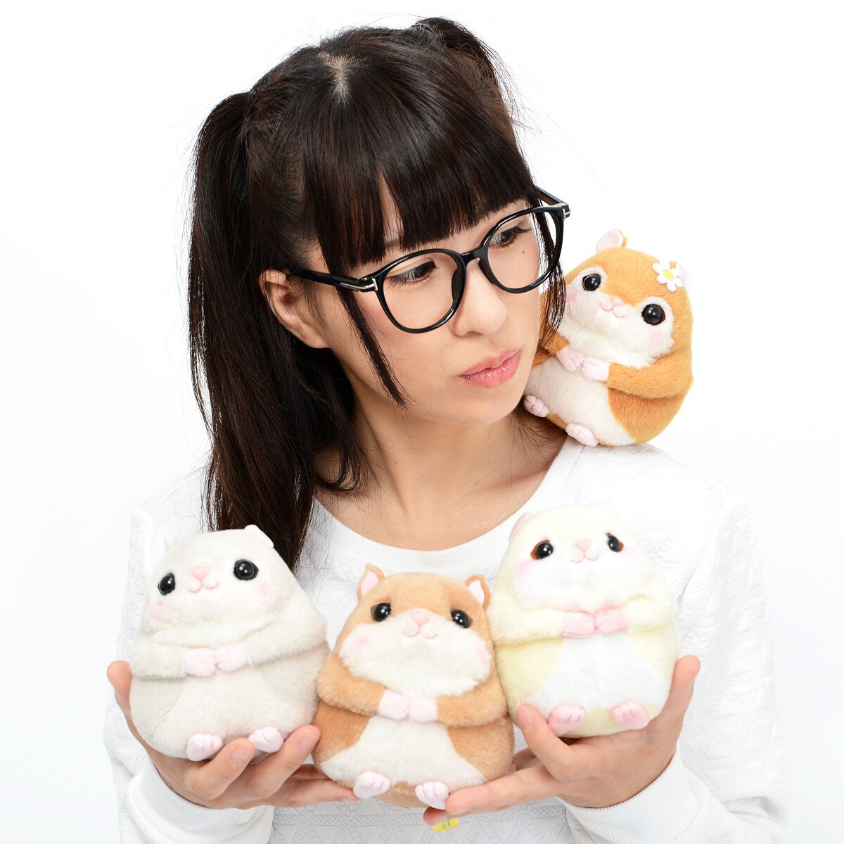 Momonga no Momota Flying Squirrel Plush Collection (Standard): Amuse ...