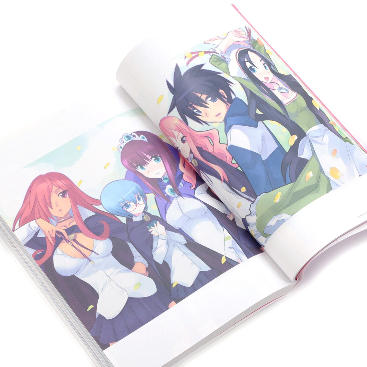 The Familiar of Zero Complete Illustration Collection - Tokyo Otaku ...