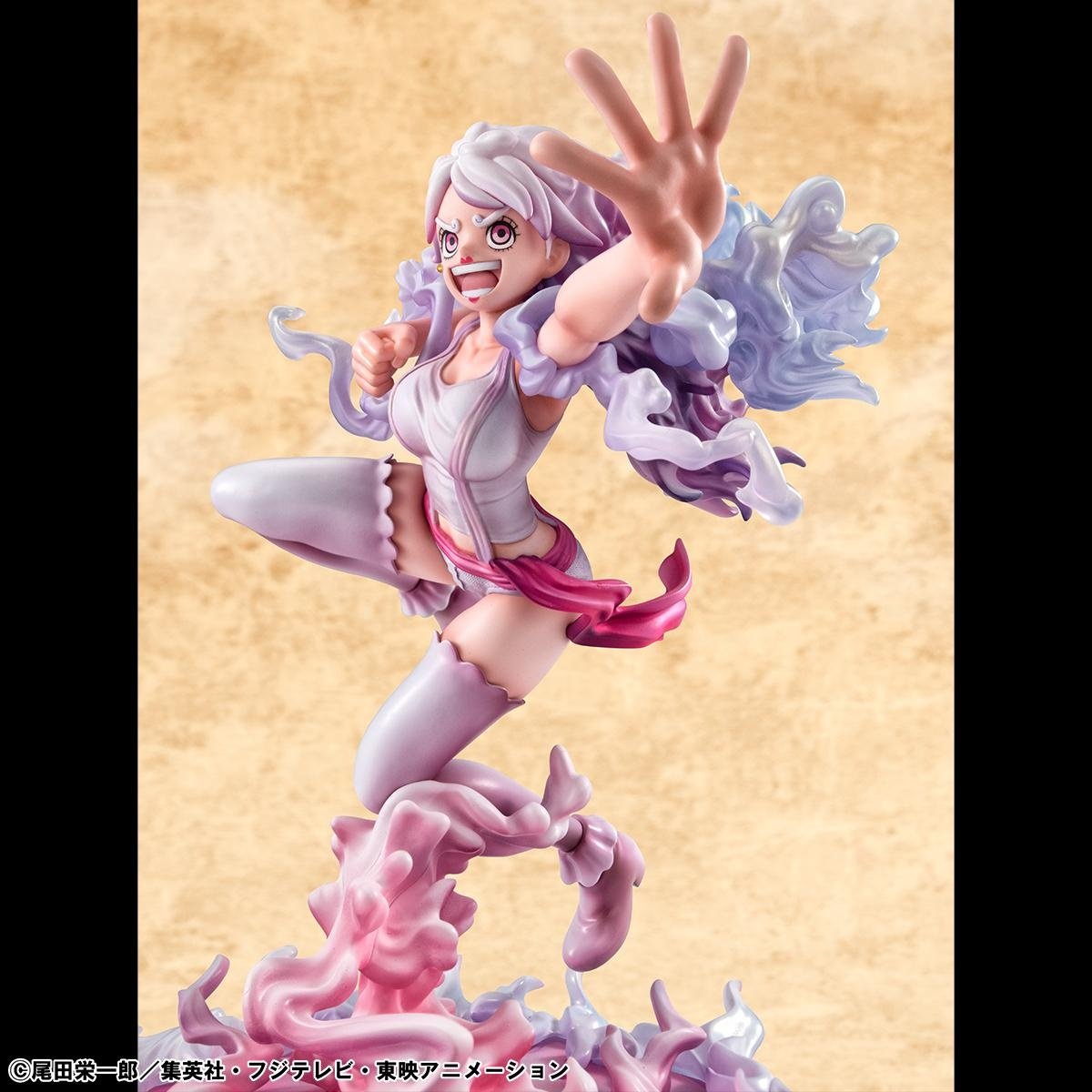 Portrait of Pirates One Piece Evolutionary History Jewelry Bonney: The ...