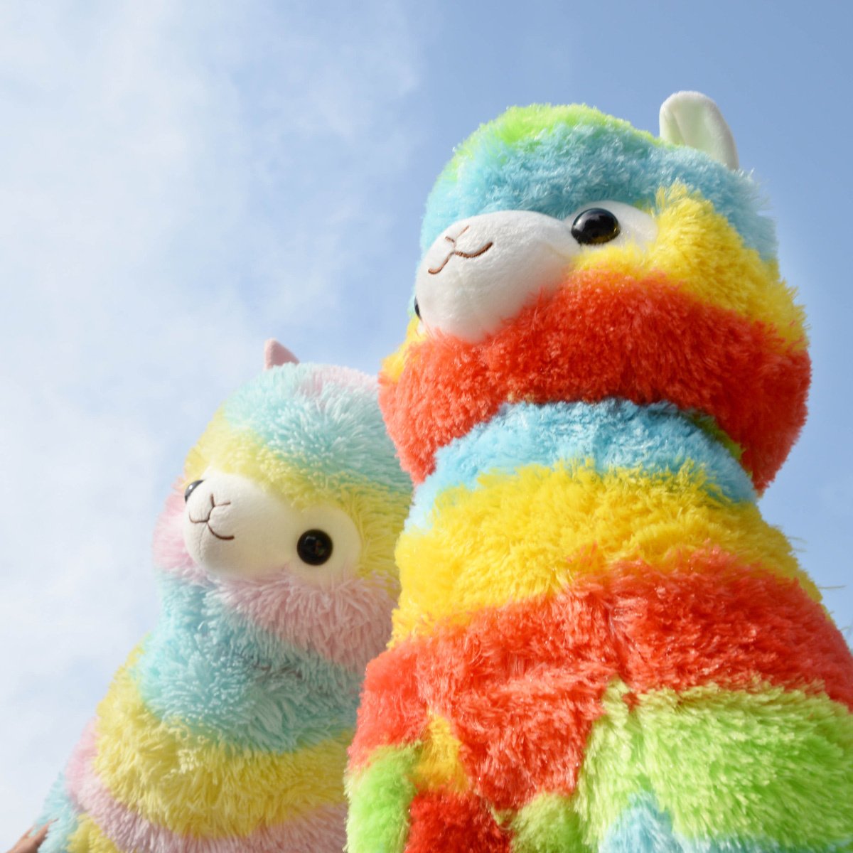 [TOM Exclusive] Double Rainbow Alpacasso Alpaca Plush Pair (Big): Amuse ...
