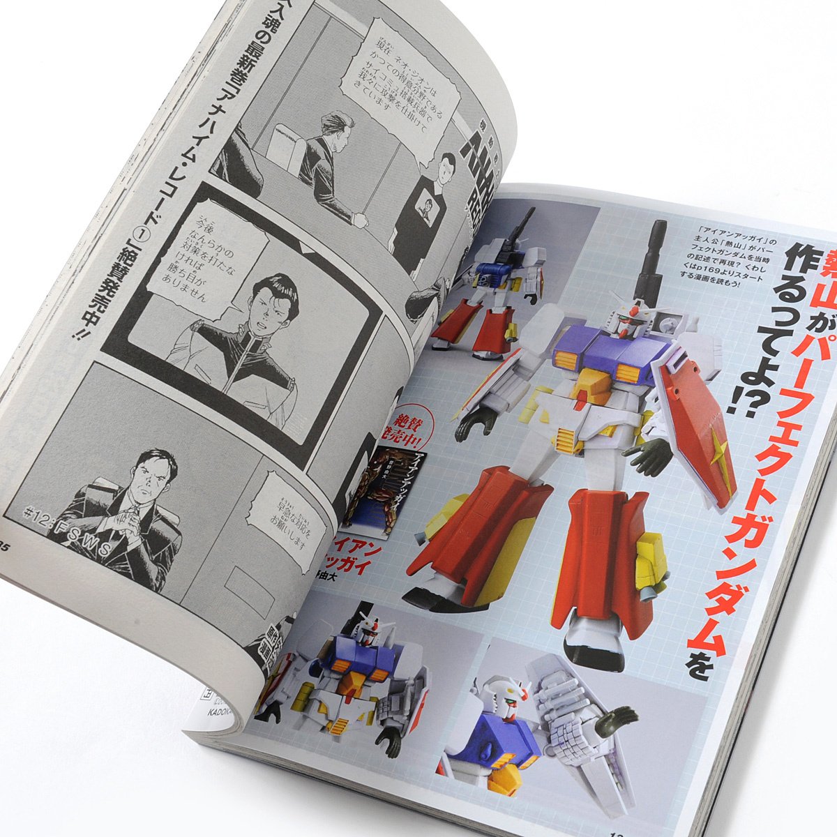 Gunpla Ace Special Issue (Tentative Title) w/ Bonus High Grade Hammer ...