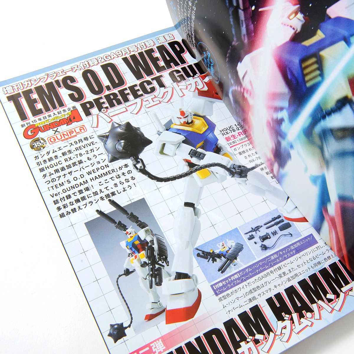 Gunpla Ace Special Issue (Tentative Title) w/ Bonus High Grade Hammer ...