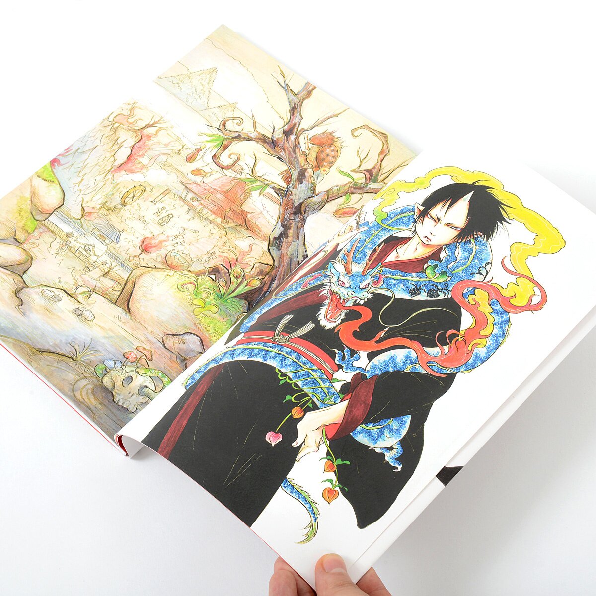 Gokusai Kaiga: Hoozuki no Reitetsu Color Illustration Collection ...