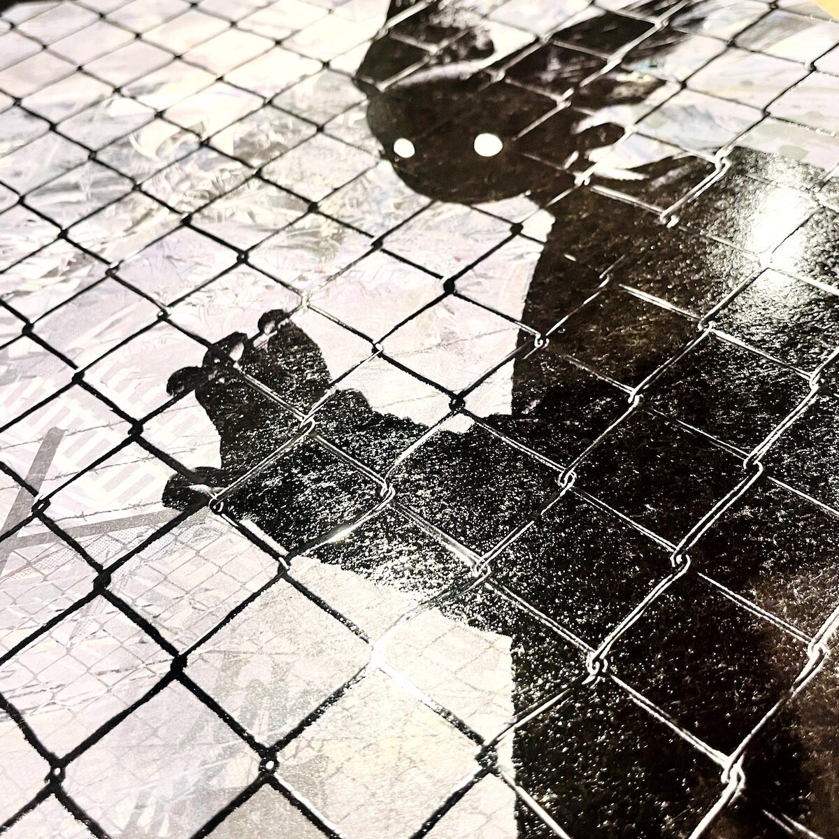 Face Essence Special Print Poster (Isssai) - Tokyo Otaku Mode (TOM)