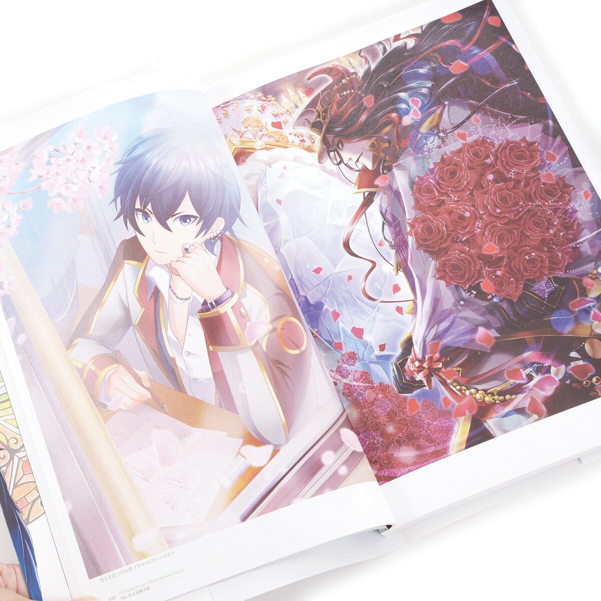 Shironeko Project Official Art Book Part 2 - Tokyo Otaku Mode (TOM)