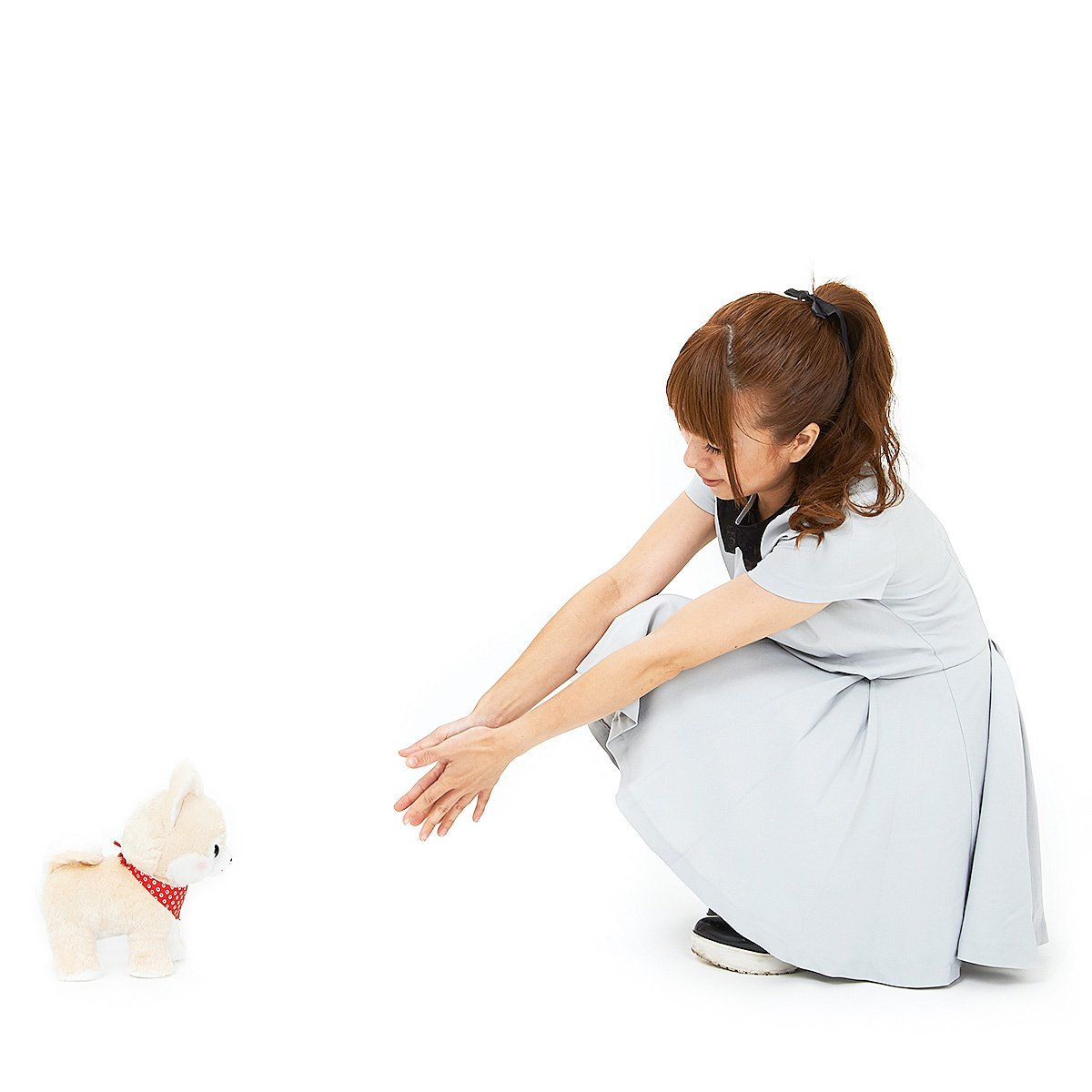 Mameshiba San Kyodai Toko Toko Walking Sasuke Plush: Amuse - Tokyo ...