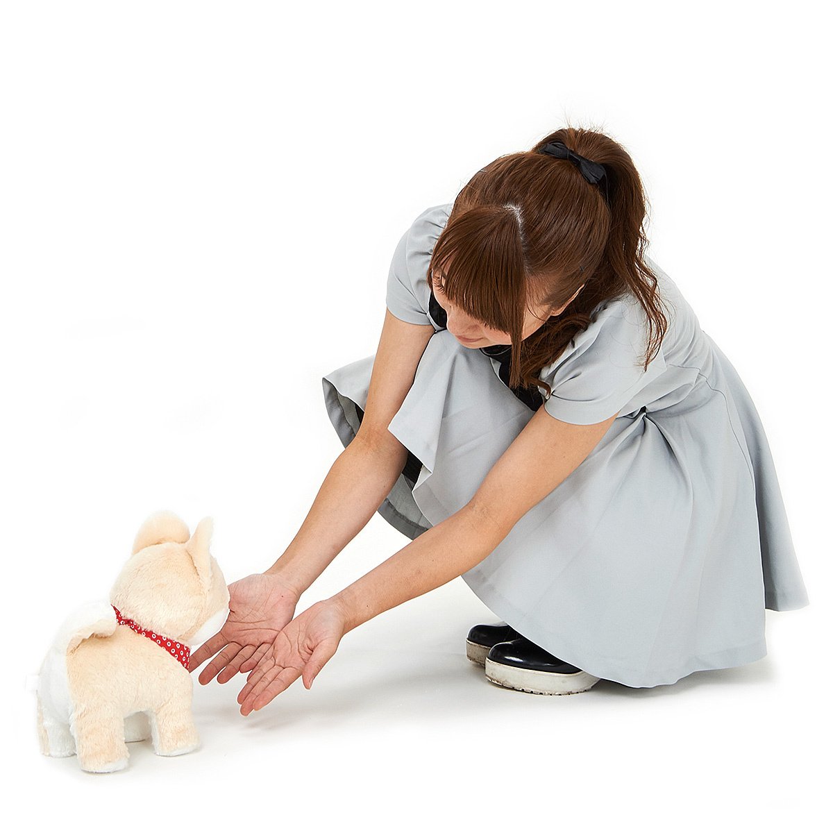 Mameshiba San Kyodai Toko Toko Walking Sasuke Plush: Amuse - Tokyo ...
