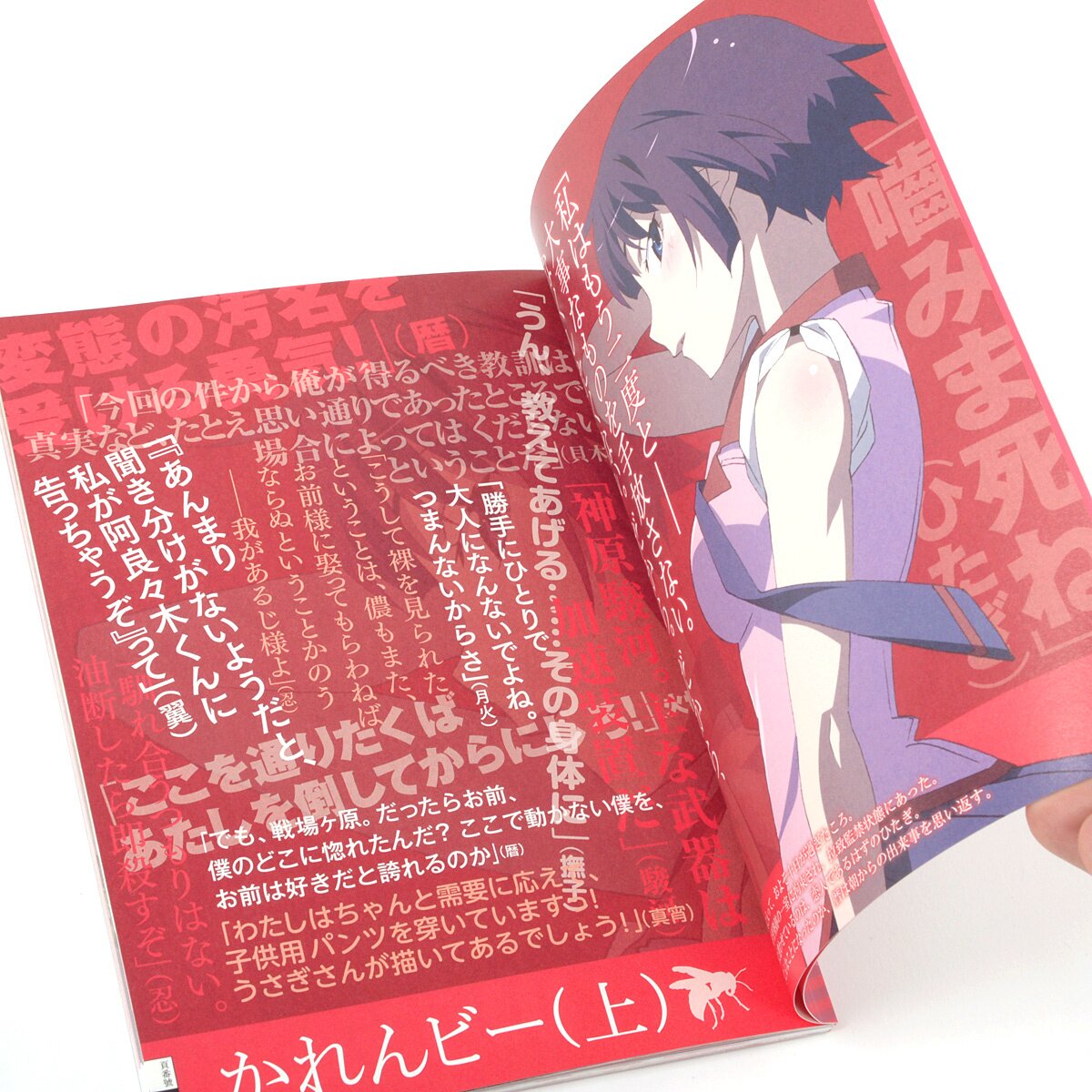 Nisemonogatari Complete Anime Guide Book (Kodansha Box Set) - Tokyo ...