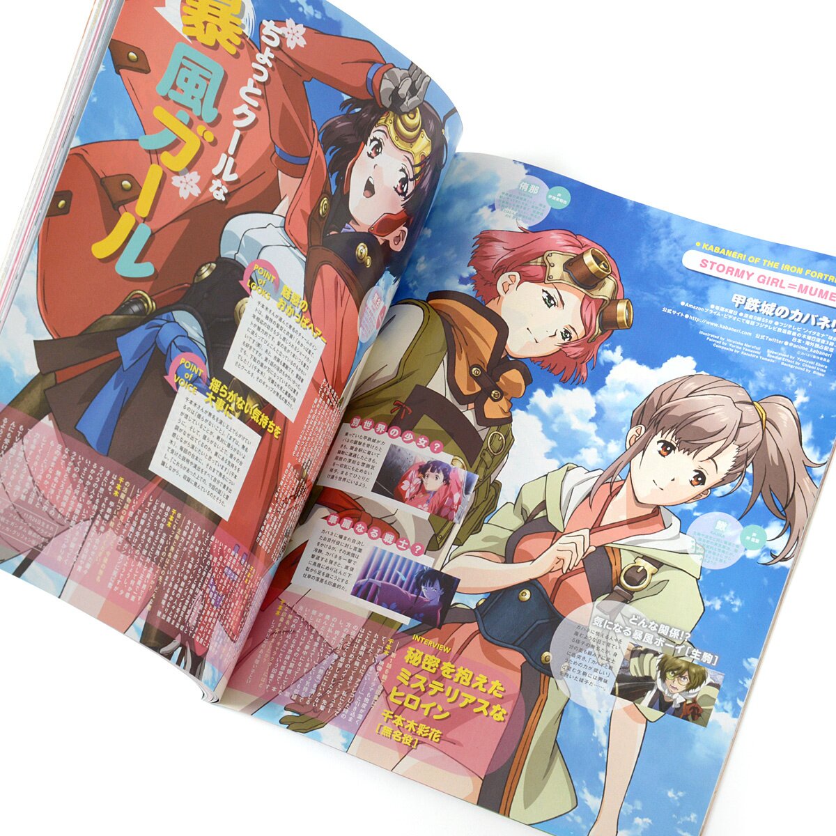 Animage May 2016 - Tokyo Otaku Mode (TOM)