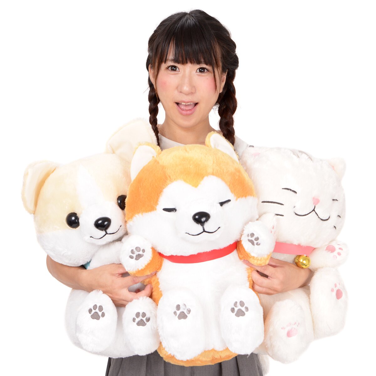 Dokodemo Nekkorogari Tai Animal Plush Collection (Big): Amuse - Tokyo ...