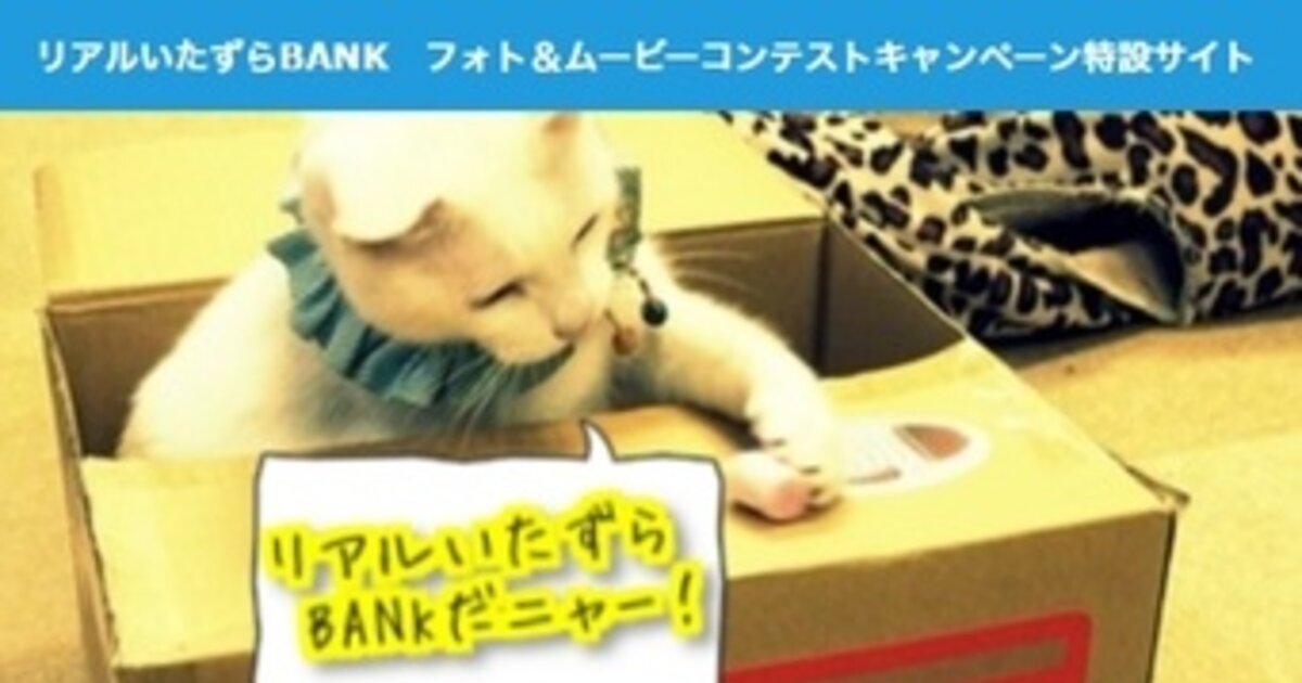 Real-Life Kitty Banks?! Itazura Bank Photo and Movie Contest Kicks Off ...