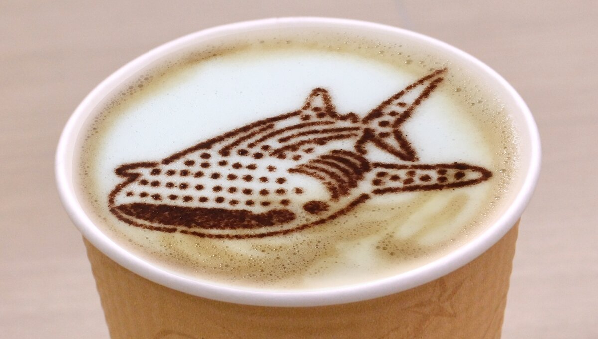 Whale Shark Ice Cream & Treats Inspired by Marine Creatures! | Japan ...