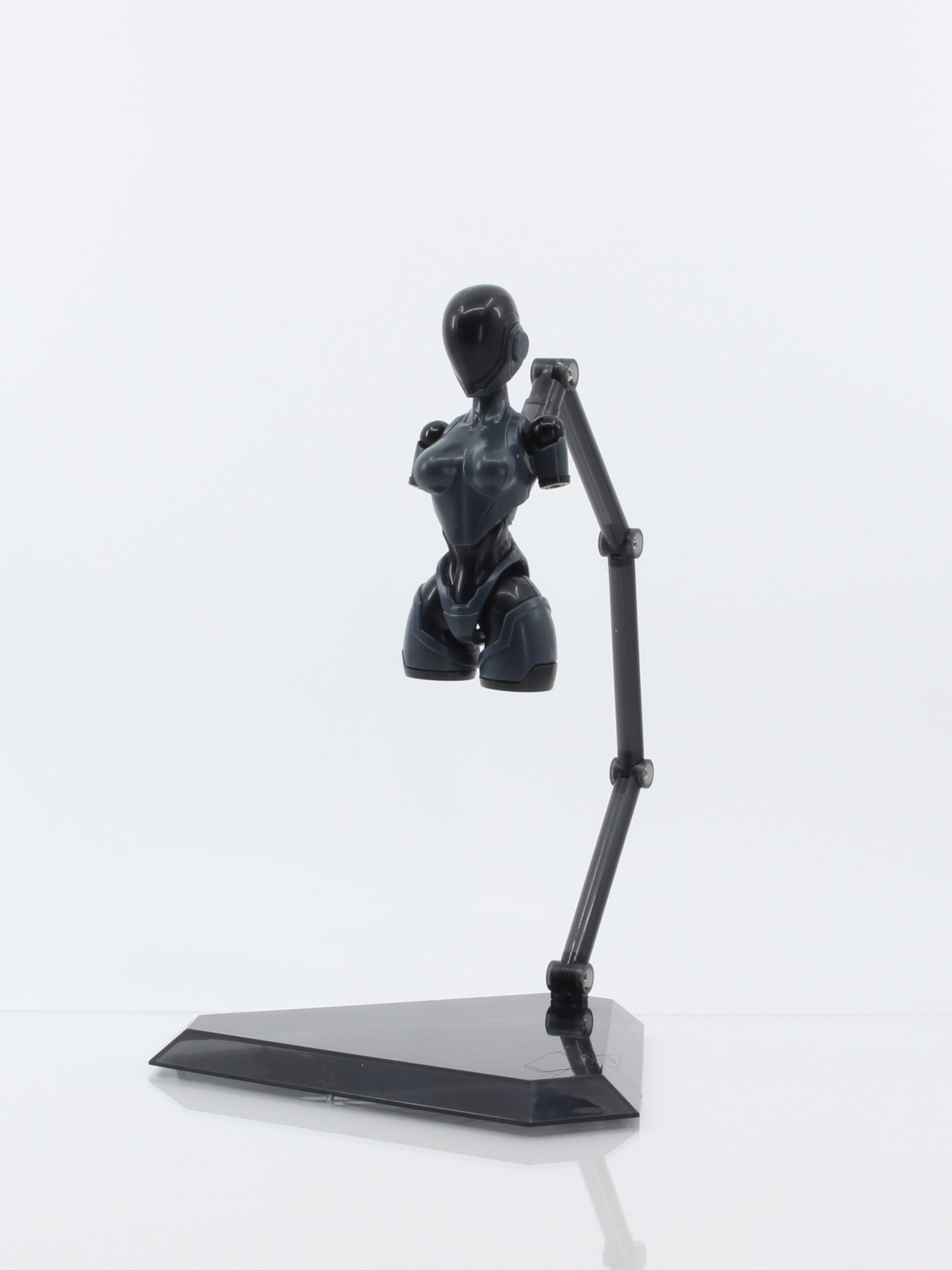 Animacircuit Vio the Rabbit SP: Zhuo Jiang 21% OFF - Tokyo Otaku Mode (TOM)