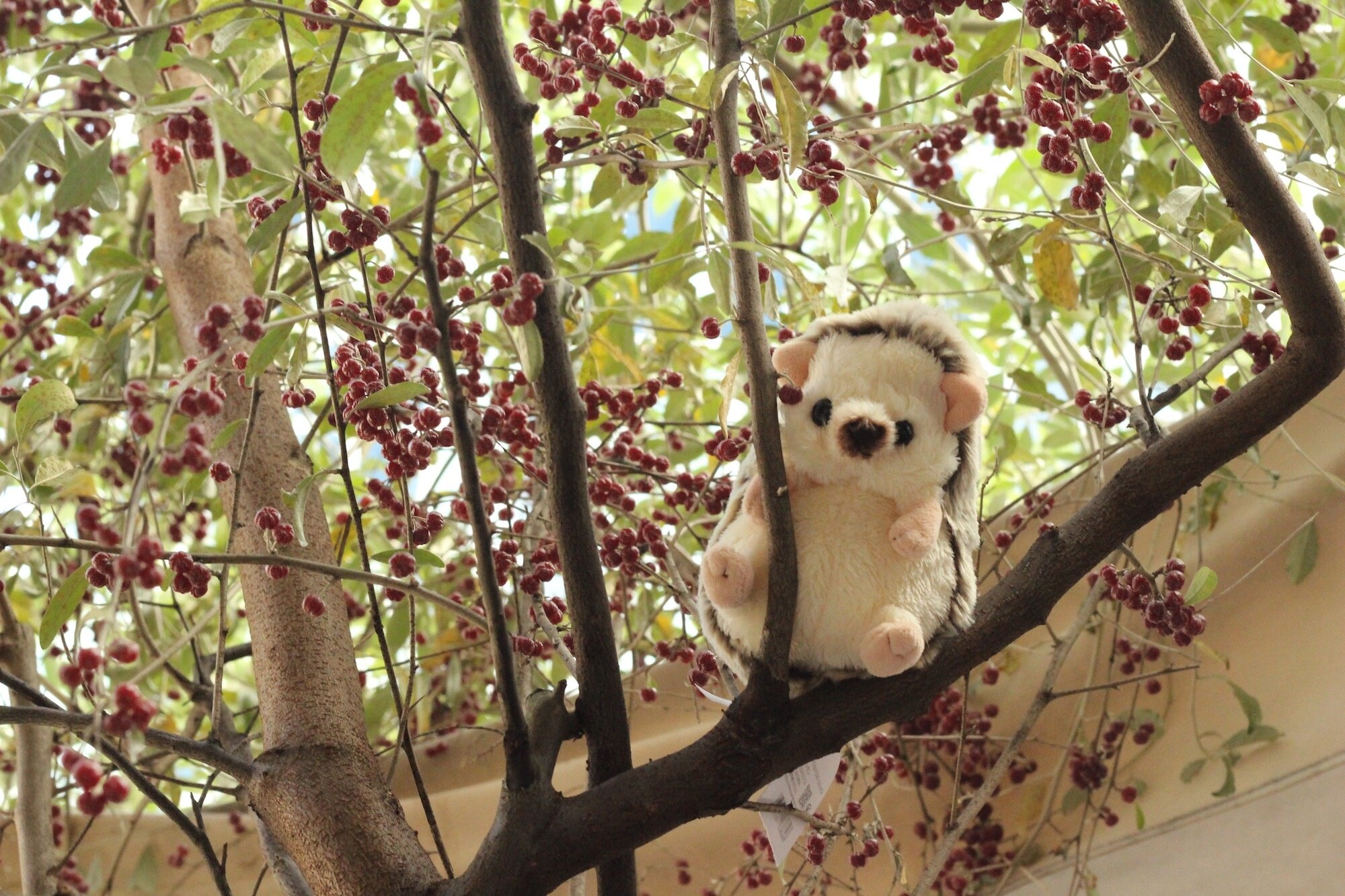 Fluffies Hedgehog Plush Collection: Sunlemon - Tokyo Otaku Mode (TOM)