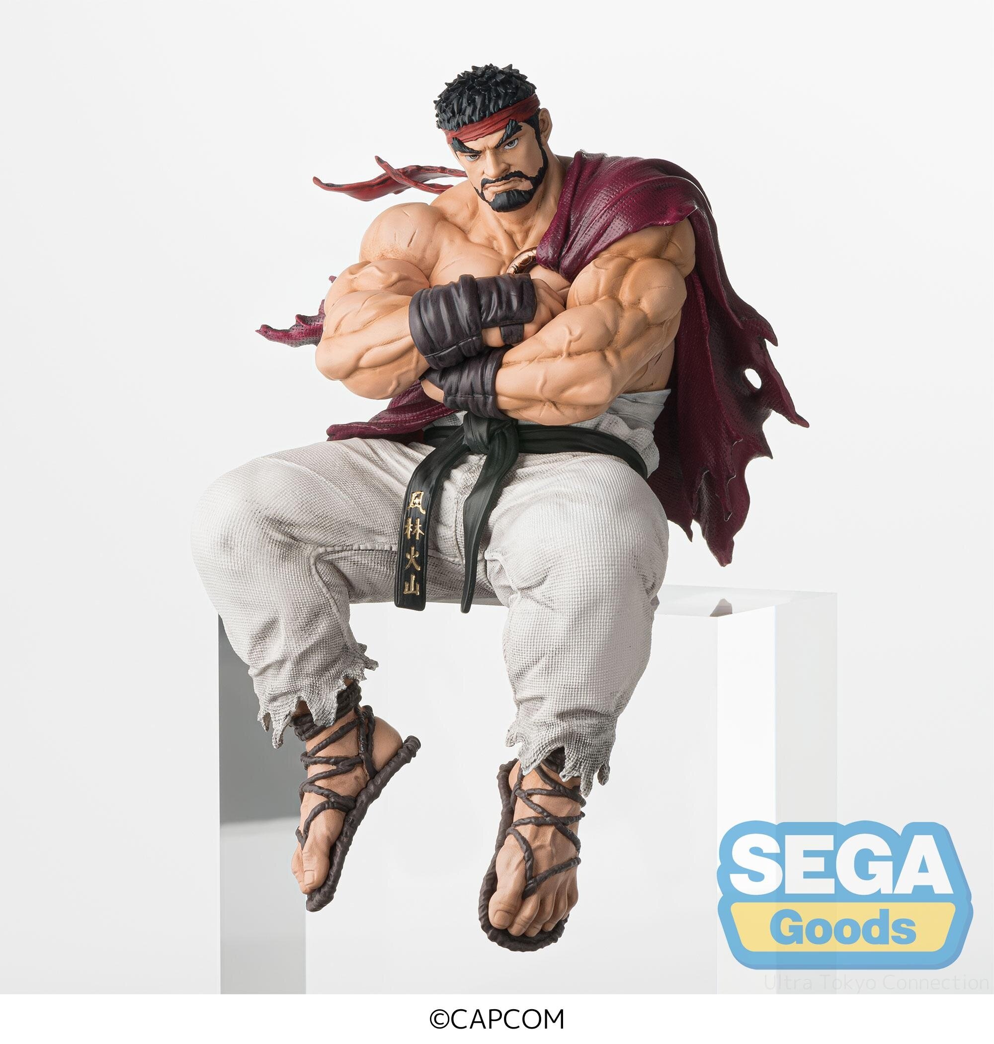 Street Fighter 6 Ryu Premium Perching Figure - Tokyo Otaku Mode (TOM)