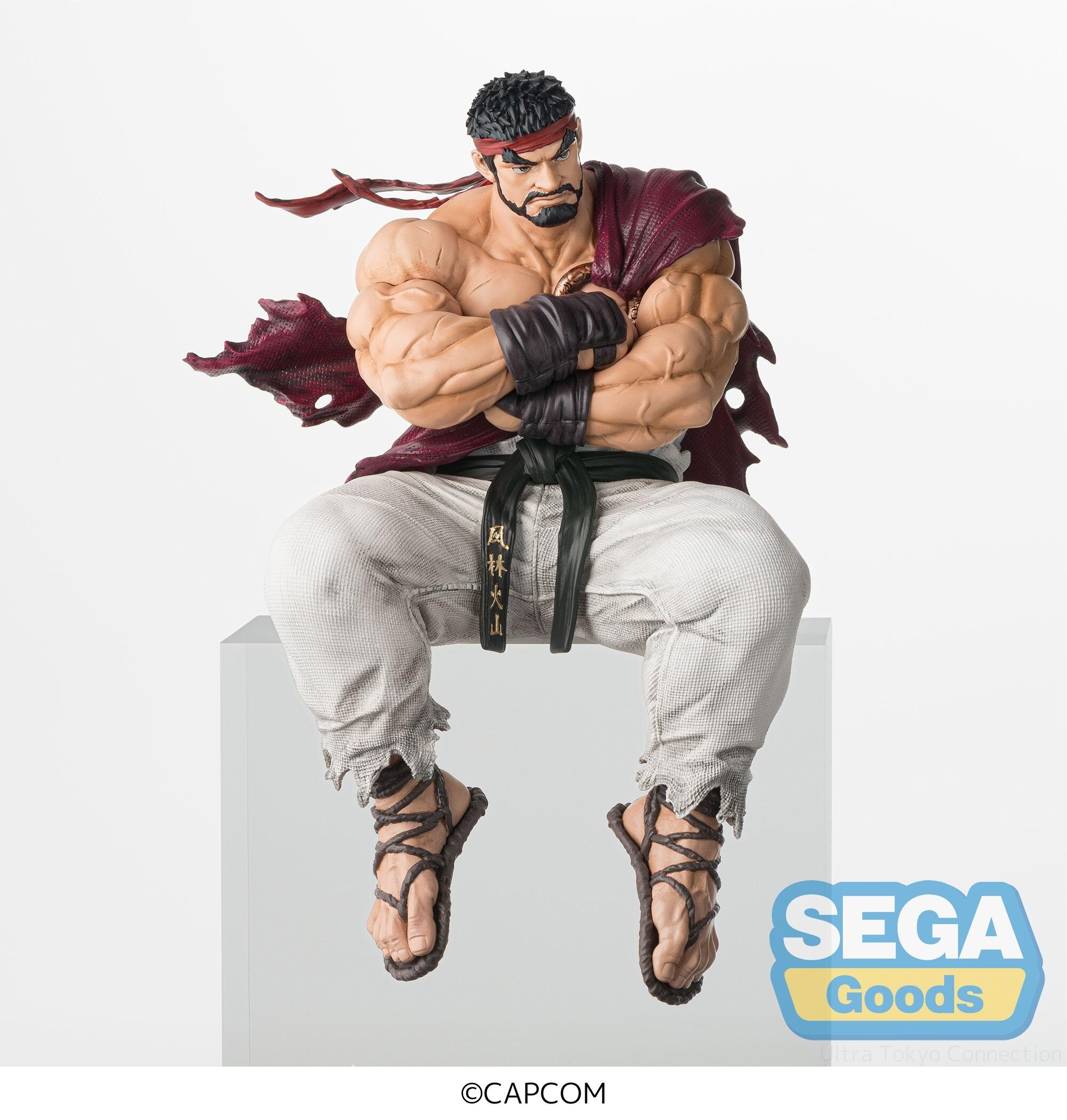 Street Fighter 6 Ryu Premium Perching Figure - Tokyo Otaku Mode (TOM)