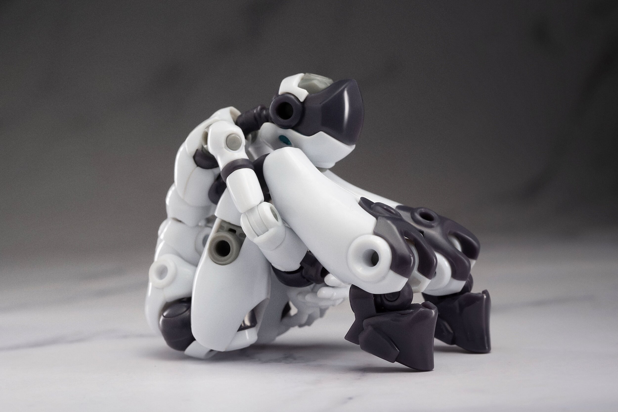 Gene Interference Series QK-ST-001 1/12 Scale Plastic Model Kit - Tokyo ...