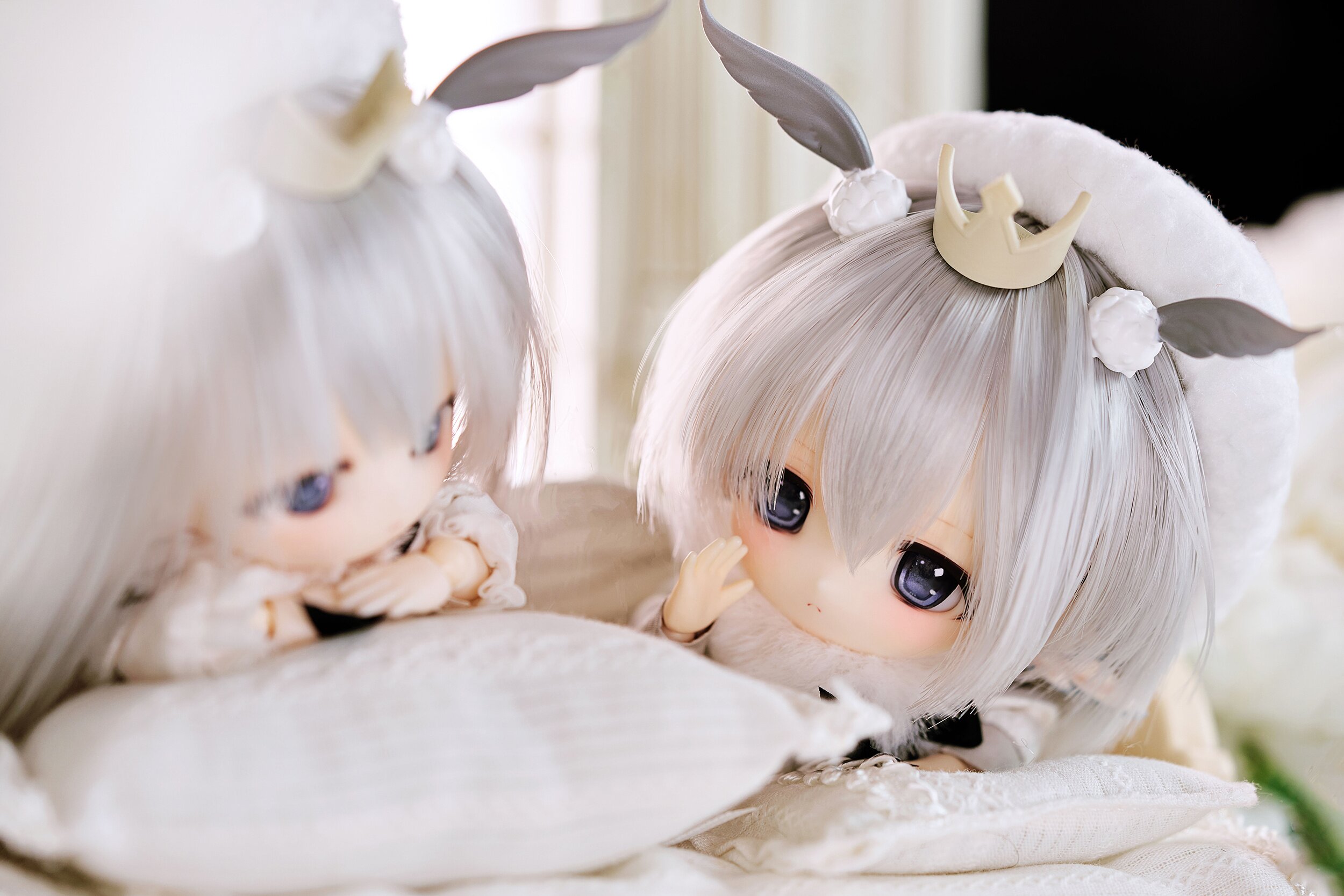 Piccodo Action Doll x White Box Alice Deformed Doll & Haneko No Make-up Doll Head Set Haiyou ...