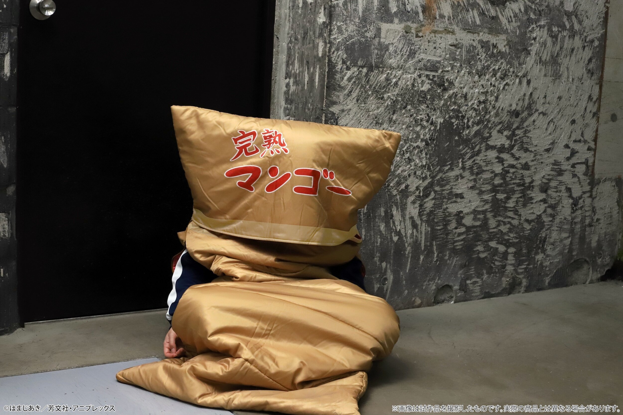 Bocchi The Rock Sleeping Bag Cardboard Box Style Tokyo Otaku Mode TOM bocchi-the-rock-sleeping-bag-cardboard-box-style-tokyo-otaku-mode-tom