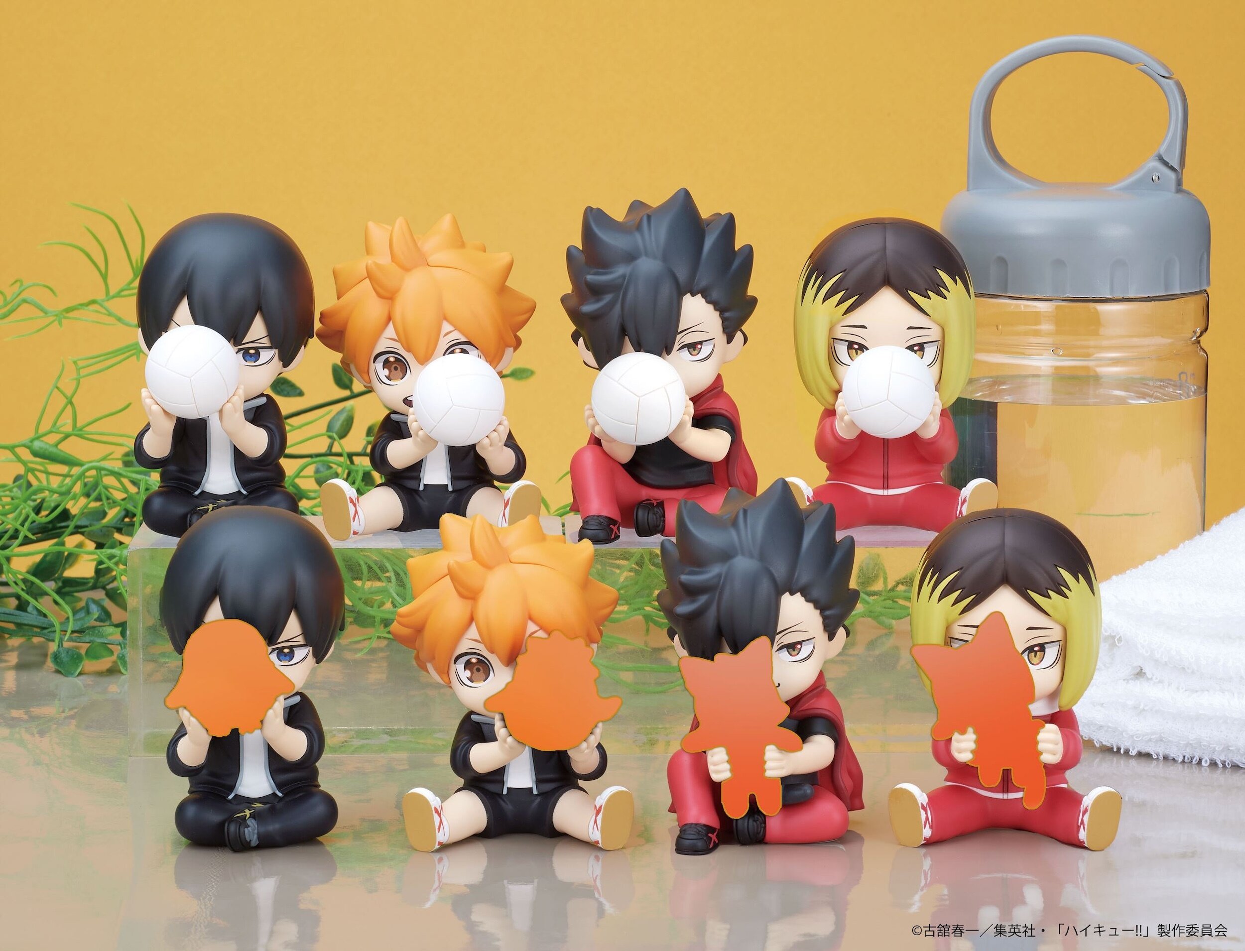 Perihapi! Hide & Seek Kakurenbo Haikyu!! Karasuno & Nekoma Box Set ...