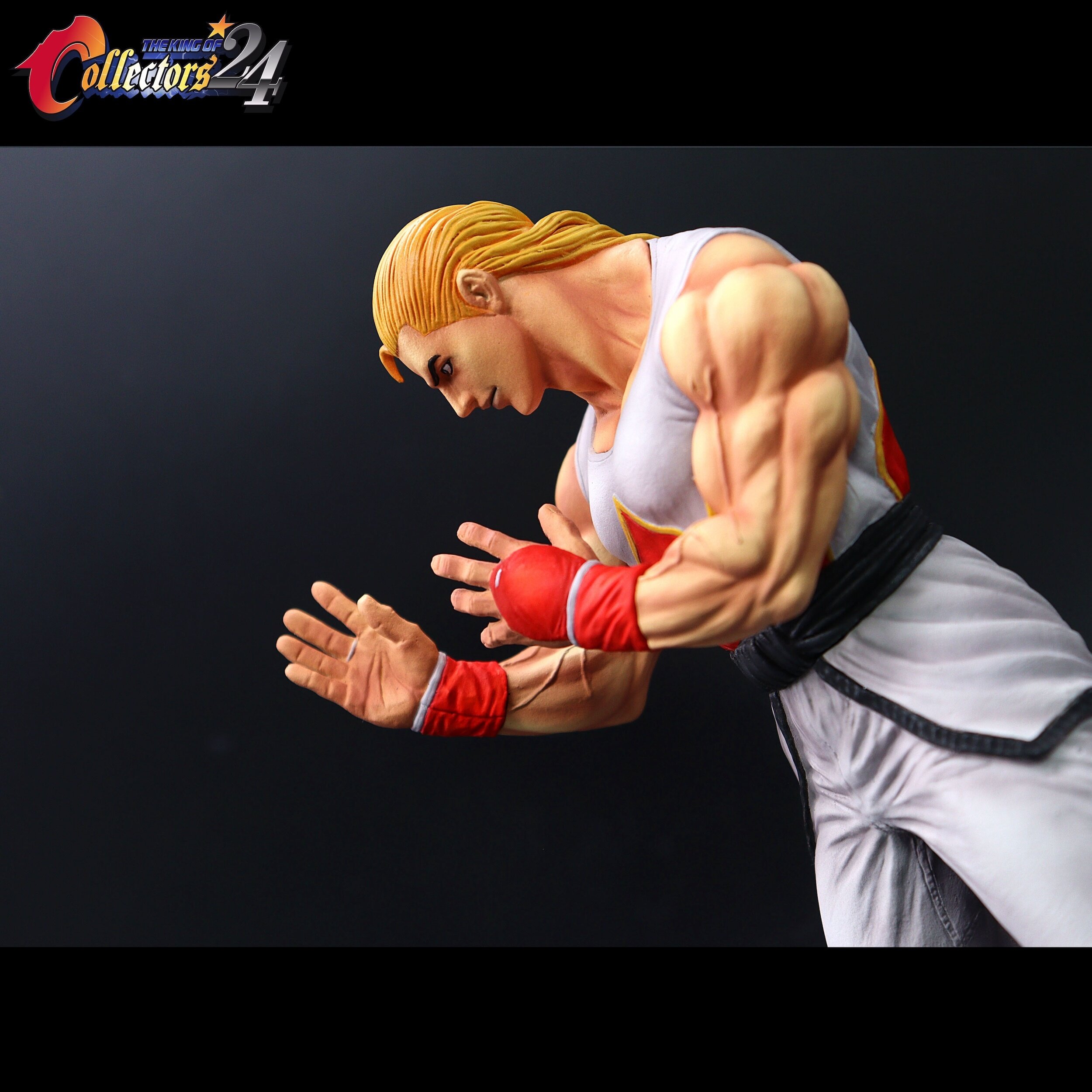 The King of Collectors'24 Fatal Fury Special Andy Bogard: Normal Color ...